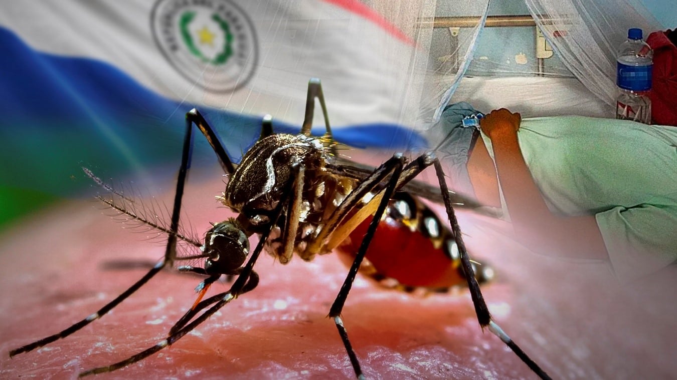 Grave epidemia de chikungunya afecta a Paraguay