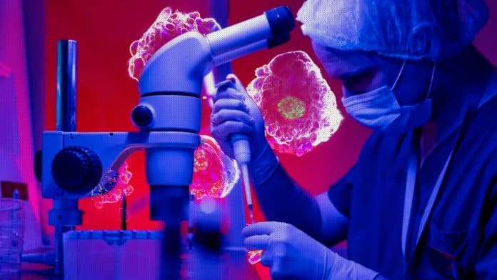 Scientists create for the first time synthetic human embryos