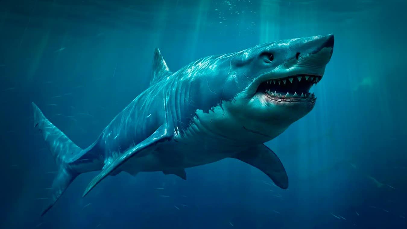 Estudio científico revela la verdadera forma del "megalodón"