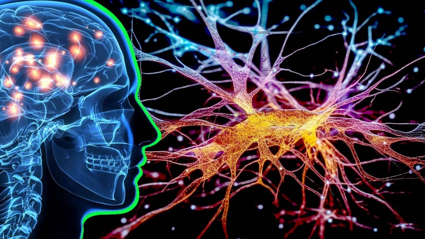 ¿Cómo se convierten las experiencias en recuerdos?